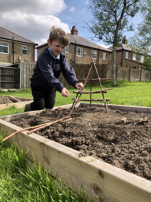 Meadowhead Junior School - Making willow pea frames