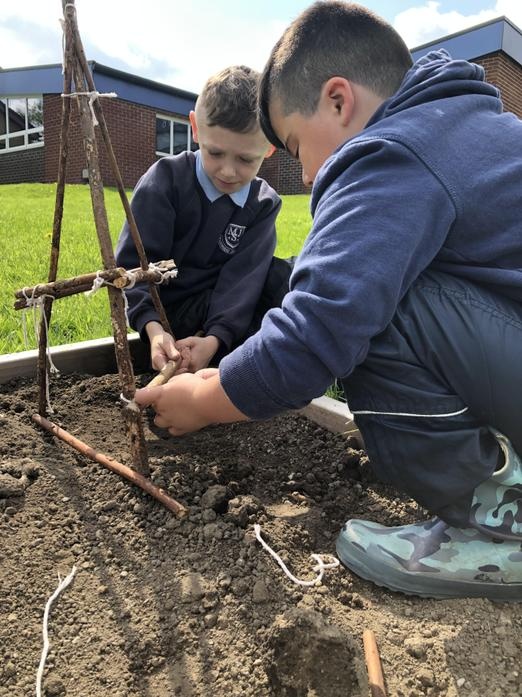 Meadowhead Junior School - Making willow pea frames