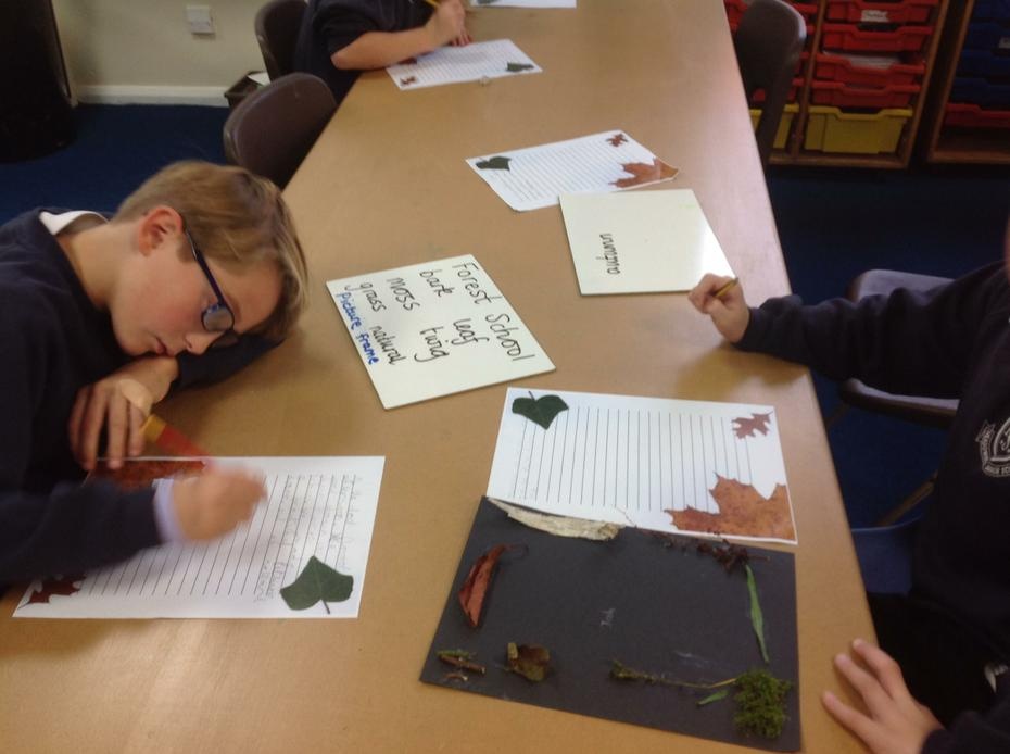 Meadowhead Junior School - BIg Write - using Forest School as a ...
