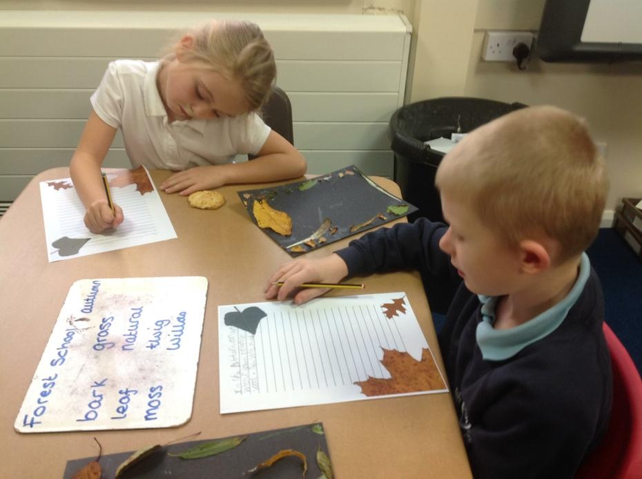 Meadowhead Junior School - BIg Write - using Forest School as a ...