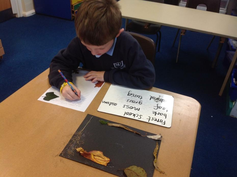 Meadowhead Junior School - BIg Write - using Forest School as a ...