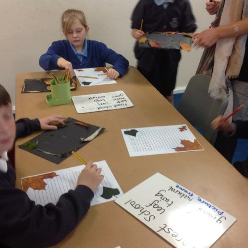 Meadowhead Junior School - BIg Write - using Forest School as a ...