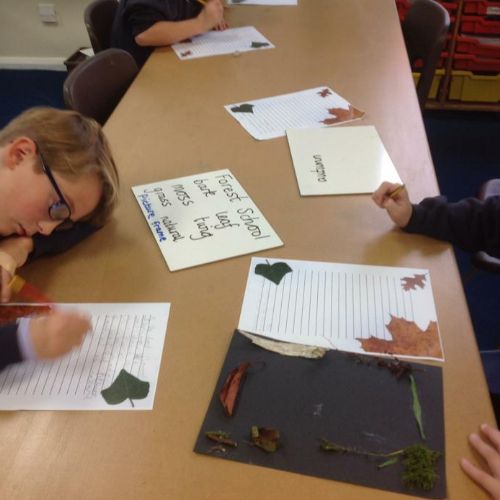 Meadowhead Junior School - BIg Write - using Forest School as a ...