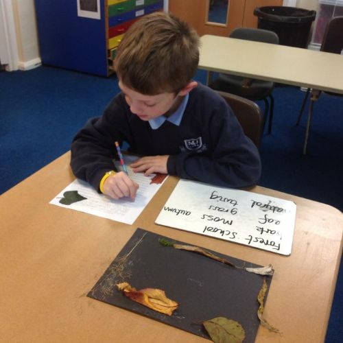 Meadowhead Junior School - BIg Write - using Forest School as a ...