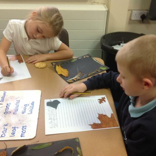 Meadowhead Junior School - BIg Write - using Forest School as a ...