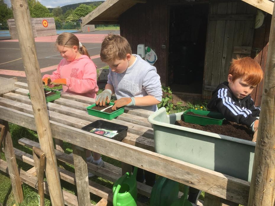 Meadowhead Junior School - Spring